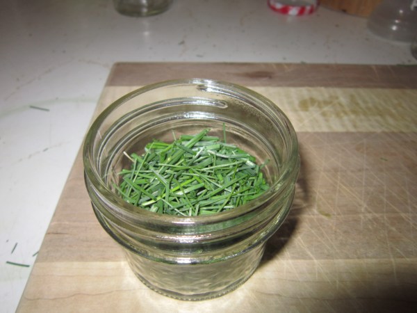 Steps Back to Nature: Harvesting Wild Chives | These Light Footsteps