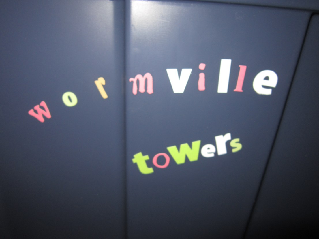 Beginner’s Worm Composting – Welcome to Wormville Towers | These Light ...