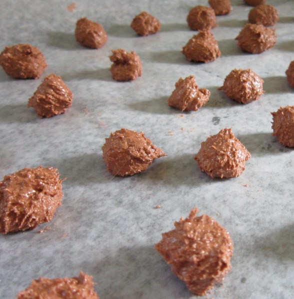 Slippery Elm Balls for Digestive Distress | These Light Footsteps