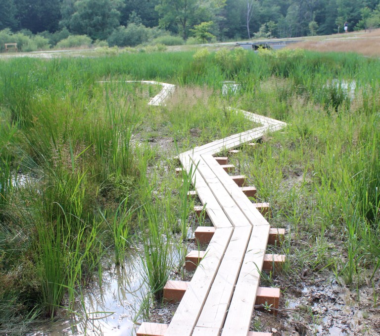 Embracing Summer | These Light Footsteps