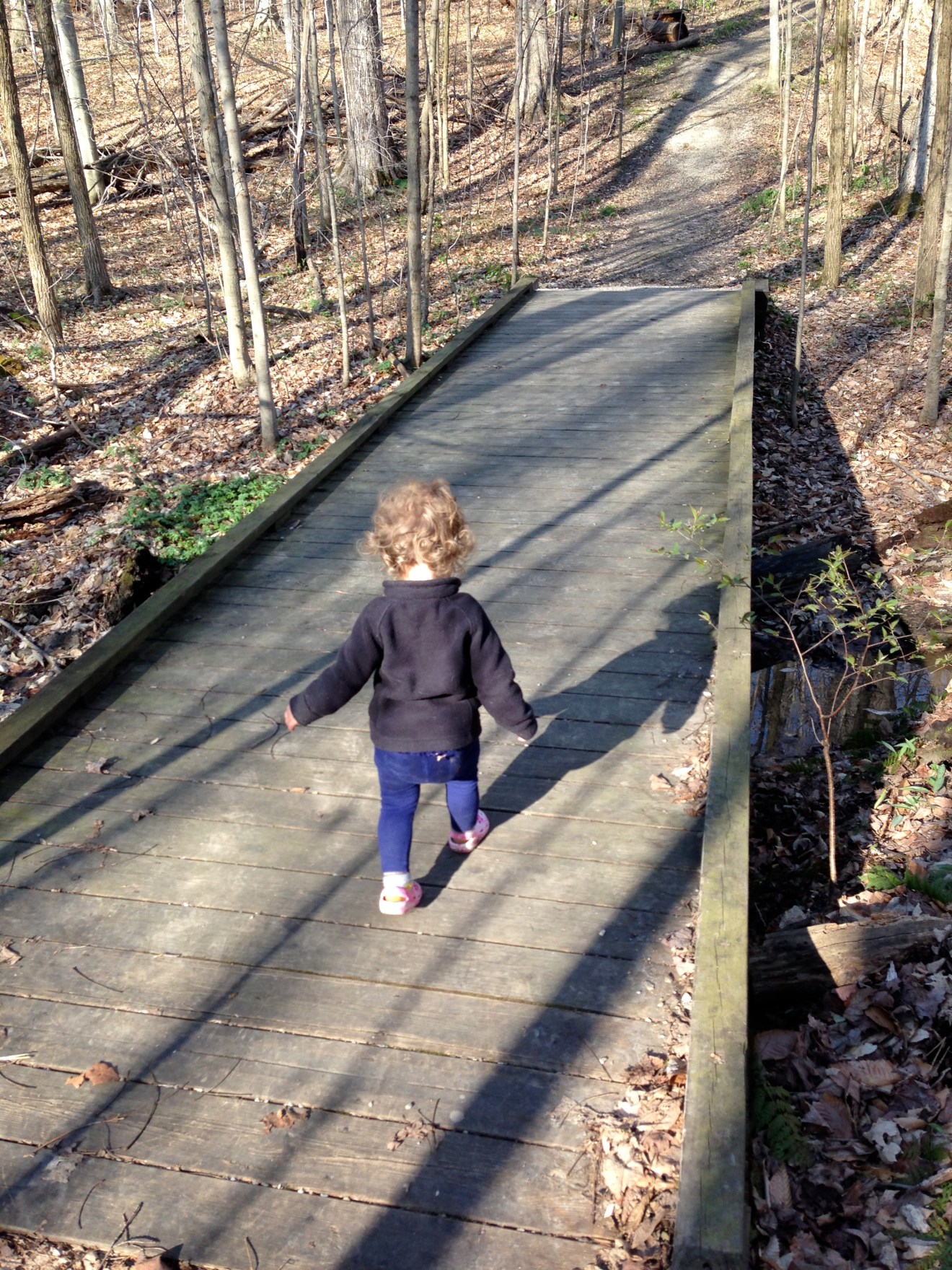 The most wonderful time of year….(spring!) | These Light Footsteps