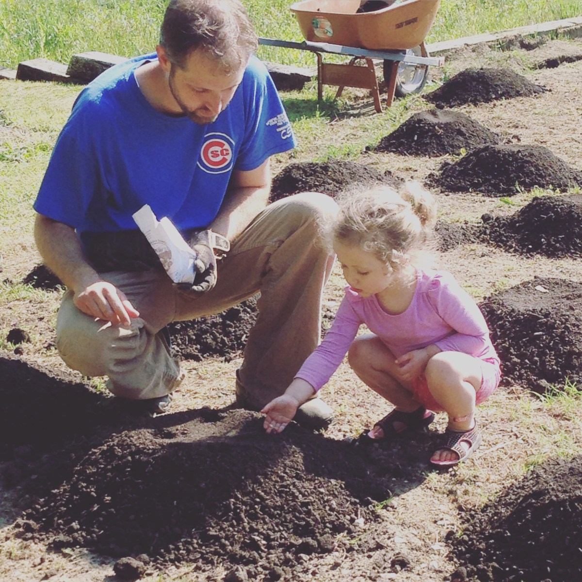 Spring updates from the farm | These Light Footsteps